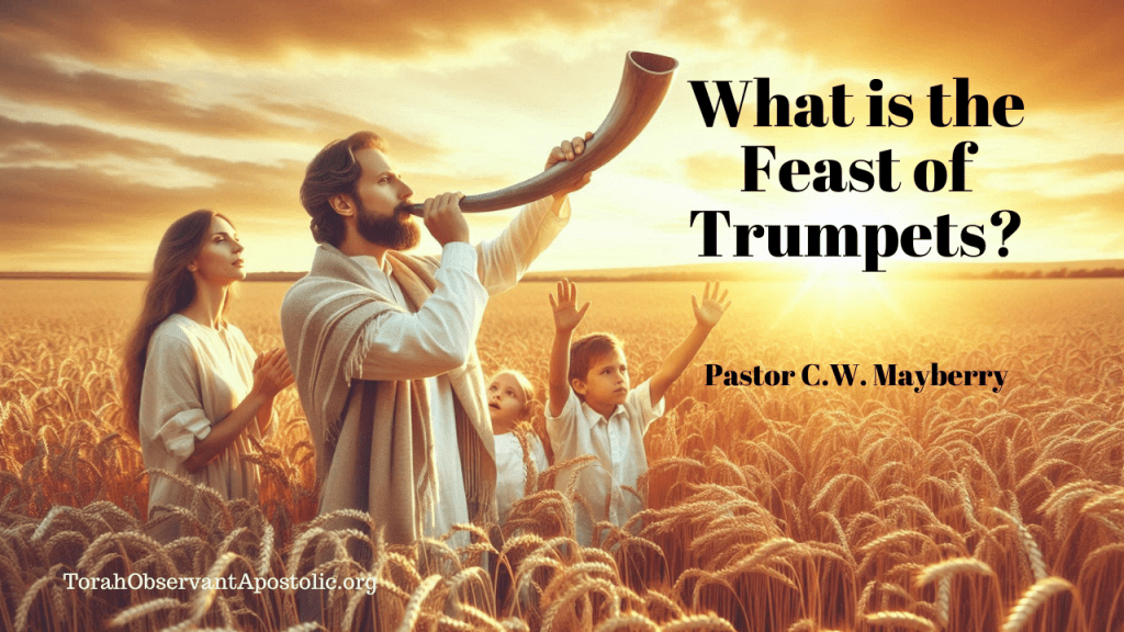Blog – Torah Observant Apostolics