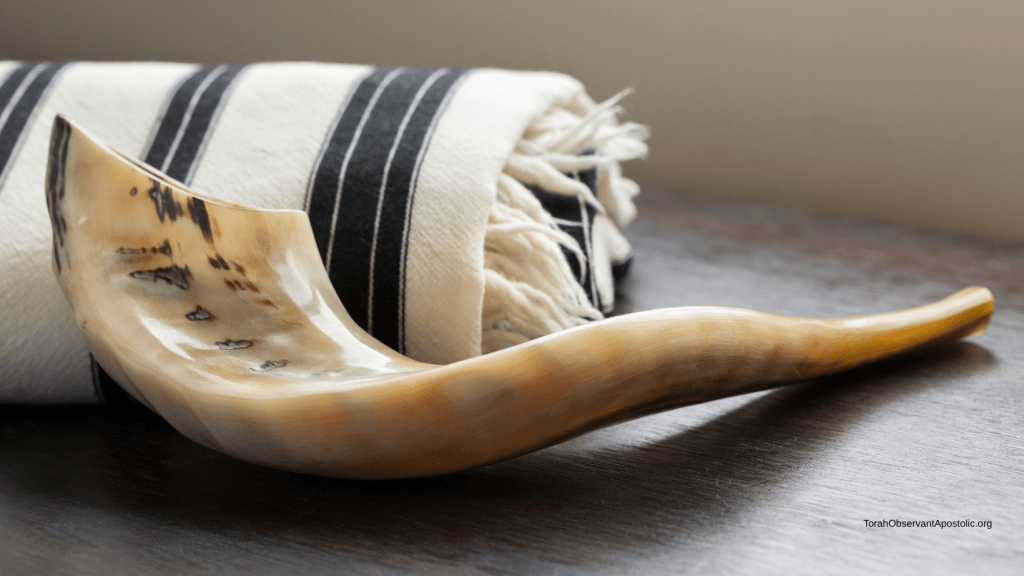 What to Expect When You Visit TOA – Torah Observant Apostolics
